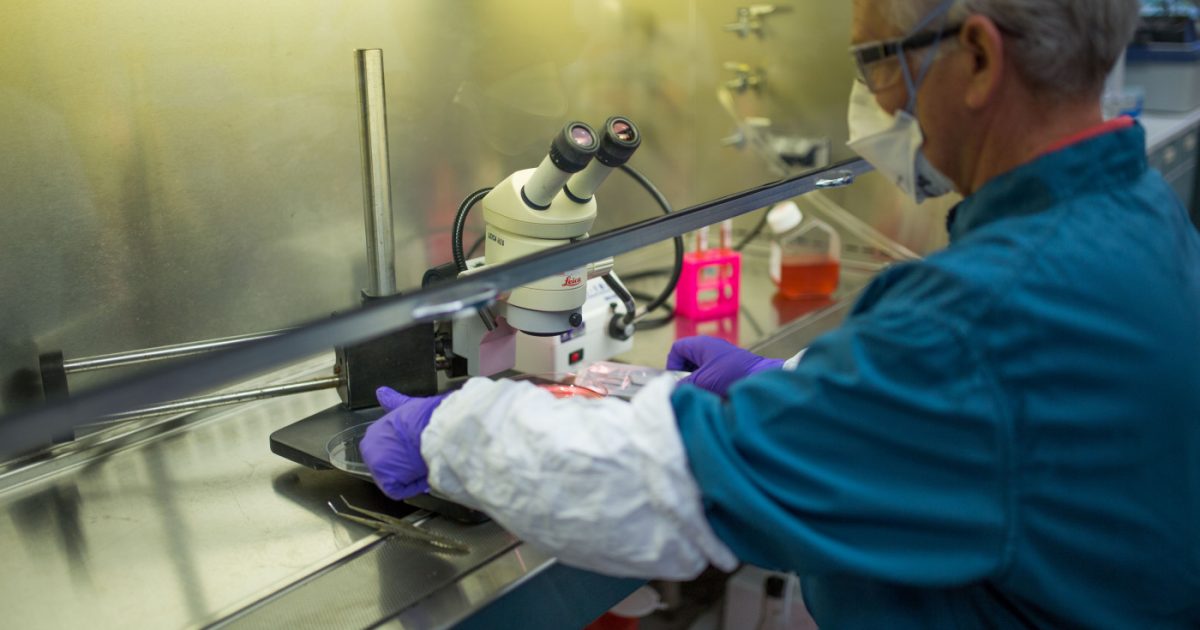 Vertex and Treating CF: High Hopes for Triple Combos and Gene Therapy ... Vertex and Treating CF: High Hopes for Triple Combos and Gene Therapy ...