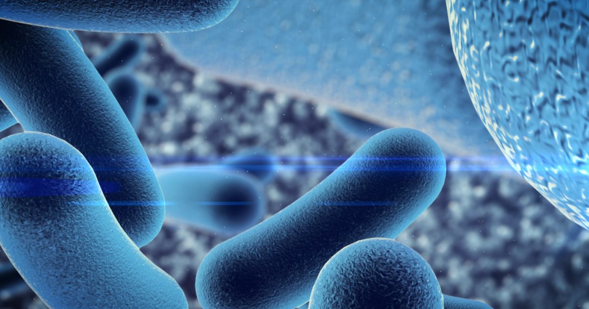 Computer Modeling of Bacteria's Behavior in Mucus to Focus on CF