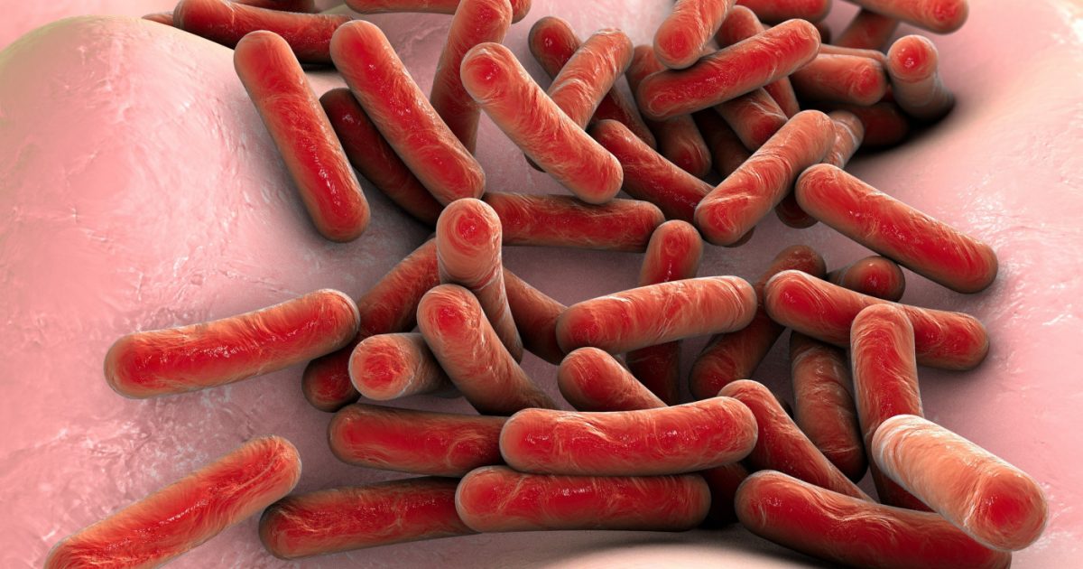 Antabio Awarded $4.4M for Continued Research for CF Lung Infection Therapy